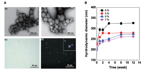 세계 최초 혁신적 ‘Booster’ 세라마이드 ‘EcoCeramide ENP’