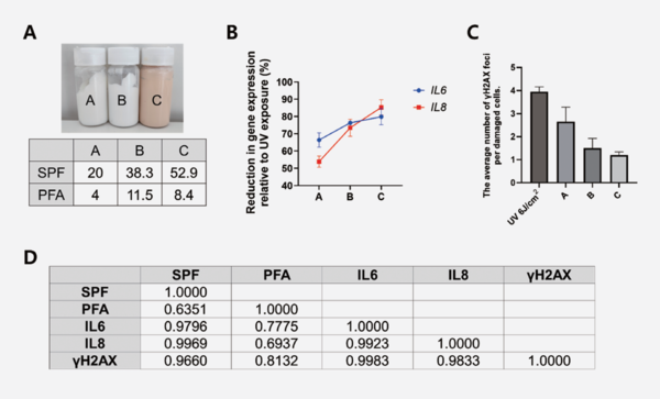인체피부모델 ‘KeraSkin™’ 평가법으로 자외선차단제 경쟁력 ‘쑥쑥’