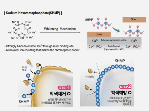 SHMP로 착색 제거 및 억제에 상쾌함까지 국내 최초 비과산화수소 주성분 미백치약 개발