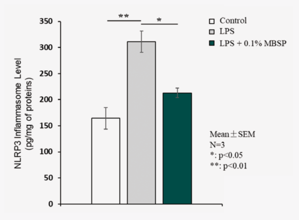 각질세포 파이롭토시스의 새로운 발견: 피부 메타염증노화를 특징짓는 세포 반응