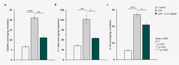 각질세포 파이롭토시스의 새로운 발견: 피부 메타염증노화를 특징짓는 세포 반응
