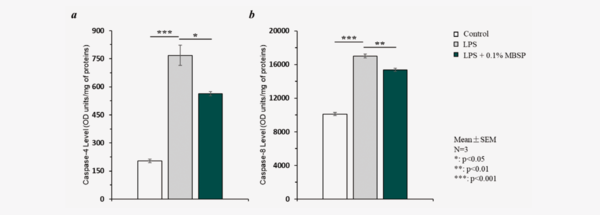 각질세포 파이롭토시스의 새로운 발견: 피부 메타염증노화를 특징짓는 세포 반응