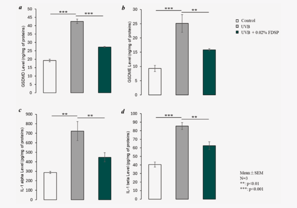 각질세포 파이롭토시스의 새로운 발견: 피부 메타염증노화를 특징짓는 세포 반응